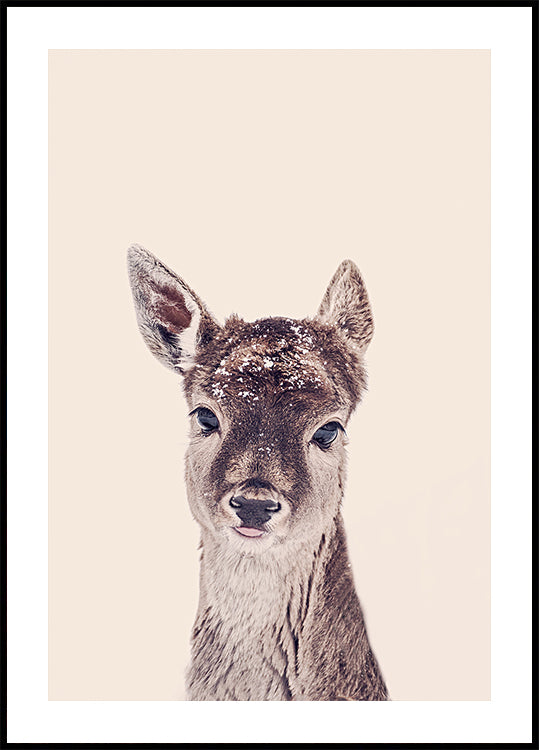Fawn Rosé Beige Poster – Posterbox.uk